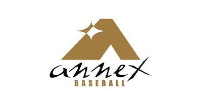 Annex Baseball - Bats | Bats Baseball Club